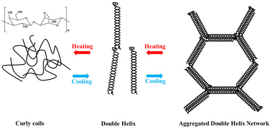 Extraction, Modification and Biomedical Application of Agarose ...