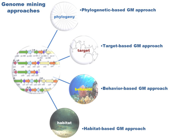 Advanced Methods for Natural Products Discovery: Bioactivity Screening ...