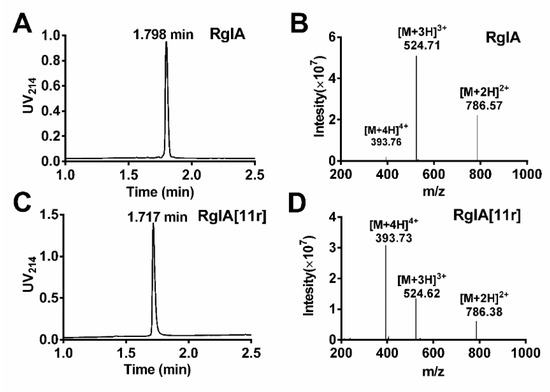Substitution of D-Arginine at Position 11 of α-RgIA Potently Inhibits ...