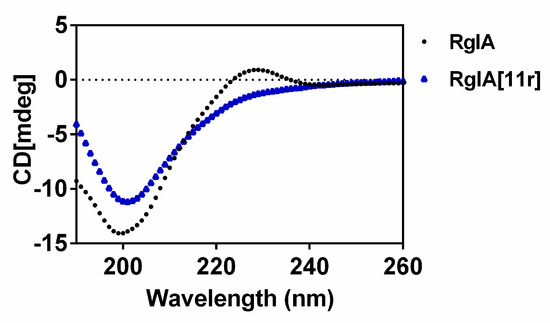 Substitution of D-Arginine at Position 11 of α-RgIA Potently Inhibits ...