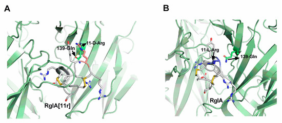 Substitution of D-Arginine at Position 11 of α-RgIA Potently Inhibits ...