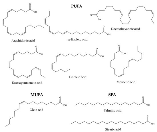 Fish Skin Mucus Extracts: An Underexplored Source of Antimicrobial Agents