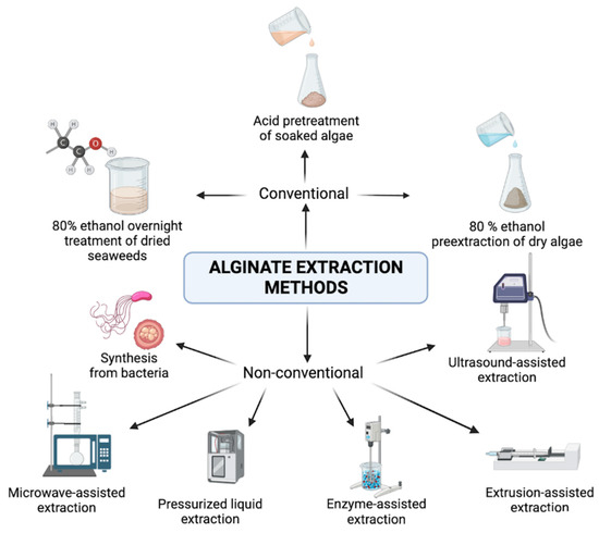 State of Innovation in Alginate-Based Materials