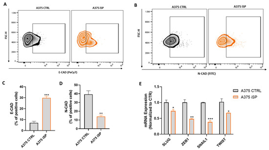 Ircinia ramosa Sponge Extract (iSP) Induces Apoptosis in Human Melanoma ...