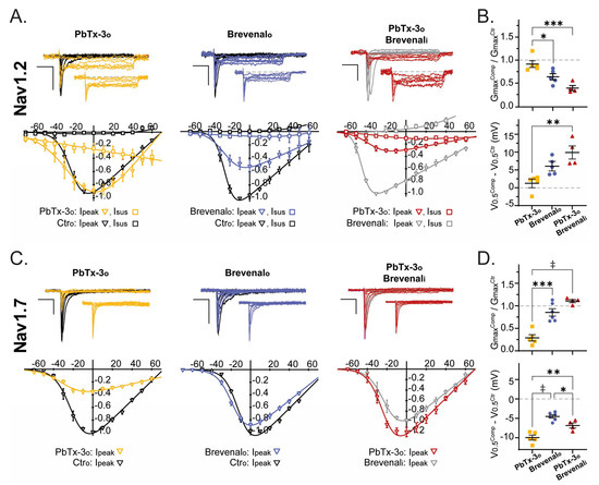 Brevetoxin versus Brevenal Modulation of Human Nav1 Channels