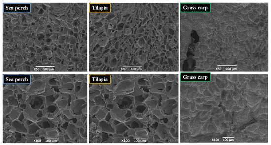 Influences of Trypsin Pretreatment on the Structures, Composition, and ...