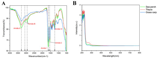 Influences of Trypsin Pretreatment on the Structures, Composition, and ...