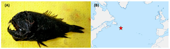 Bioactivity Screening and Genomic Analysis Reveals Deep-Sea Fish ...