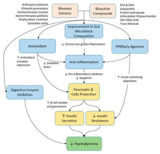 Therapeutic Potentials of Microalgae and Their Bioactive Compounds on ...