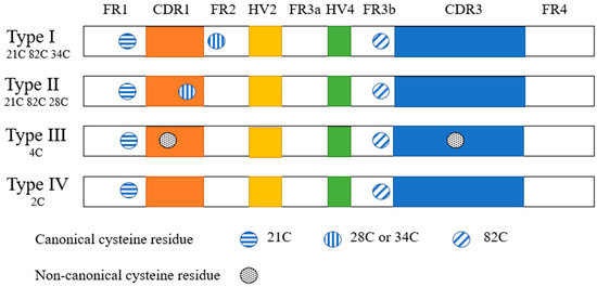 Marine Drugs | Free Full-Text | Shark IgNAR: The Next Broad Application ...