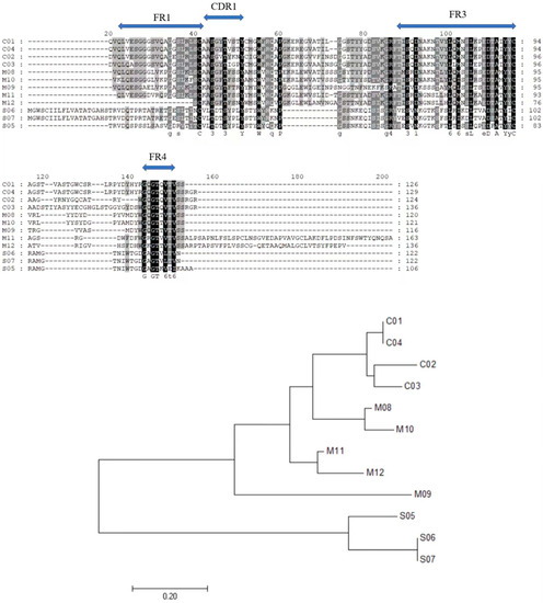 Marine Drugs | Free Full-Text | Shark IgNAR: The Next Broad Application ...