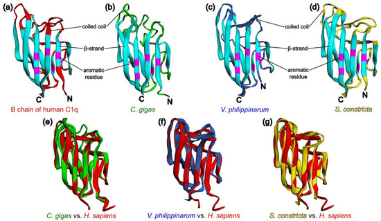 Marine Drugs | Free Full-Text | Invertebrate C1q Domain-Containing ...