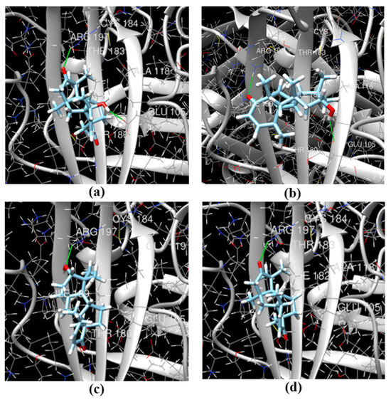 Marine Drugs | Free Full-Text | New Cyclopiane Diterpenes and Polyketide Derivatives from Marine ...