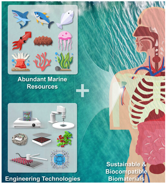 Recent Advances in Marine Biomaterials Tailored and Primed for the Treatment of Damaged Soft Tissues