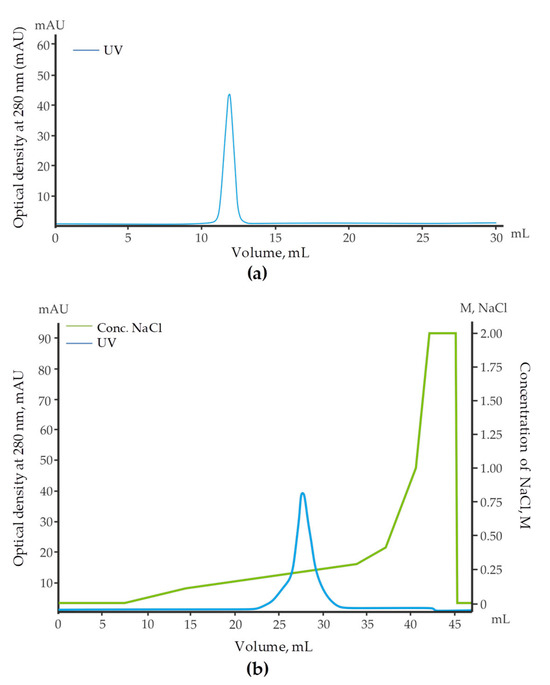 New l-Rhamnose-Binding Lectin from the Bivalve Glycymeris yessoensis ...