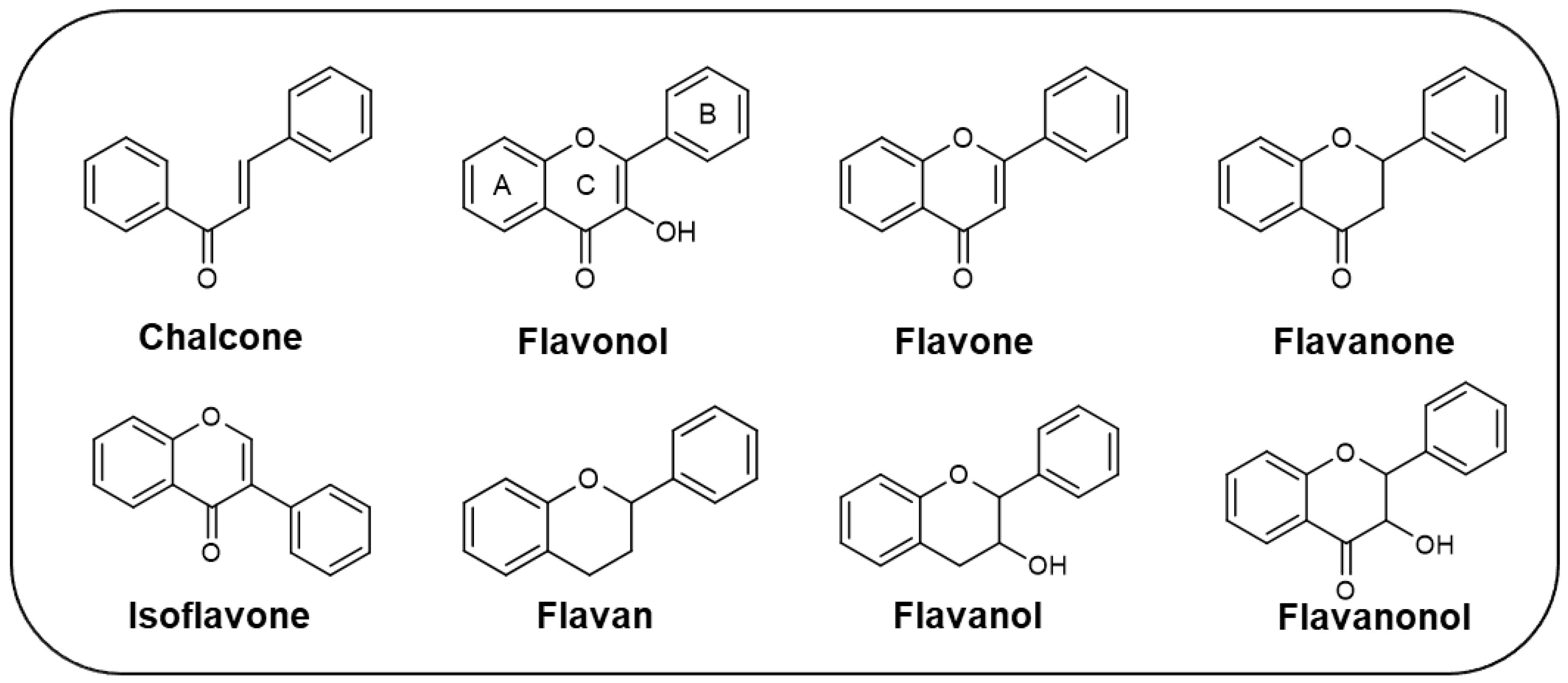 The Role of Natural and Synthetic Flavonoids in the Prevention of ...