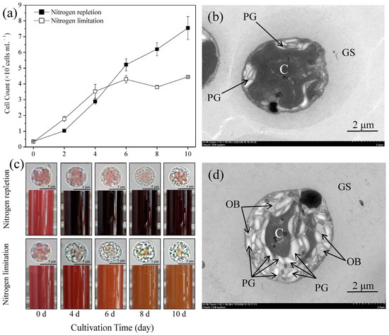Reconstruction of Long-Chain Polyunsaturated Acid Synthesis Pathways in Marine Red Microalga ...