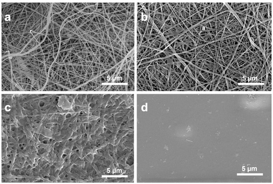 Marine Drugs | Free Full-Text | Porous Nano-Fiber Structure of Modified Electrospun Chitosan GBR ...