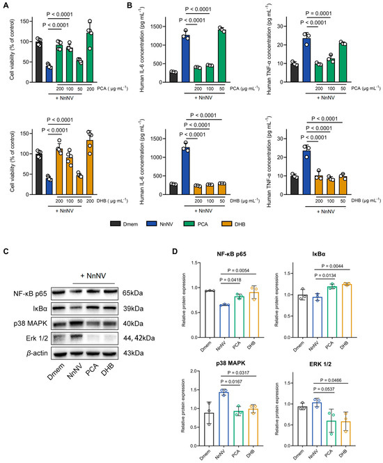 Exploring the Efficacy of Hydroxybenzoic Acid Derivatives in Mitigating ...