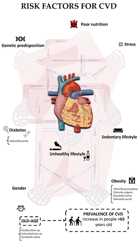 Marine Microalgal Products with Activities against Age-Related ...