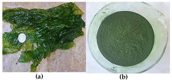 Investigation into the Phytochemical Composition, Antioxidant ...
