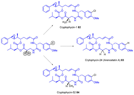 Transition-Metal-Catalyzed Transformations for the Synthesis of Marine ...
