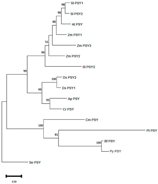 Functional Characterization of the First Bona Fide Phytoene Synthase in ...