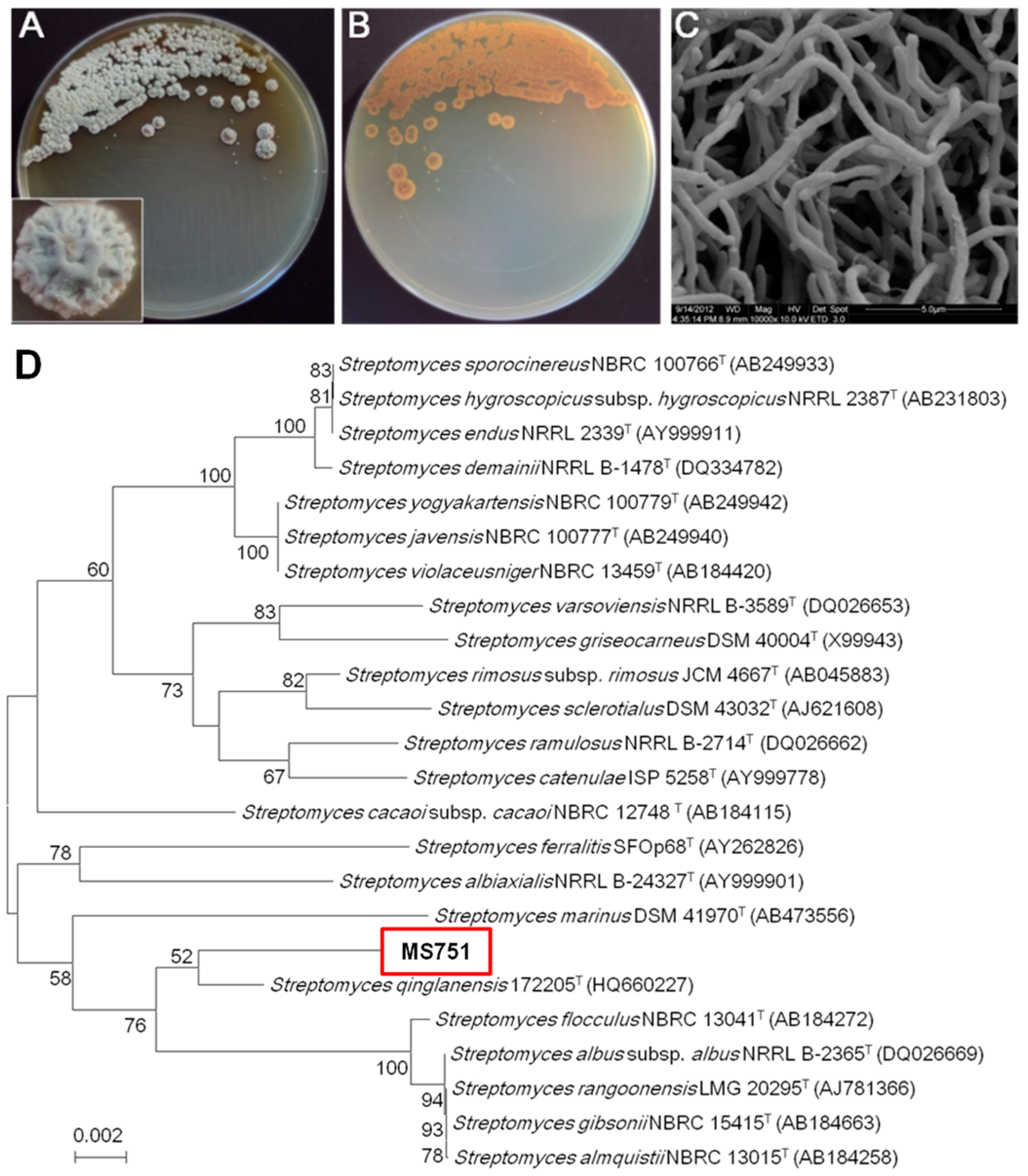 Marine Drugs | Free Full-Text | Chrysomycins, Anti-Tuberculosis C-Glycoside Polyketides from ...