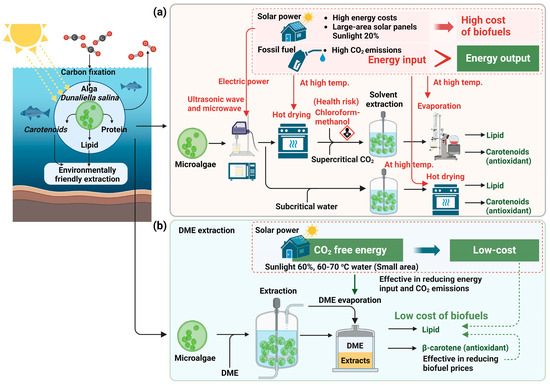 Direct Extraction of Lipids, β-Carotene, and Polyphenolic Compounds ...
