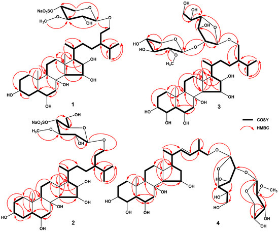 New Polyhydroxysteroid Glycosides with Antioxidant Activity from the ...