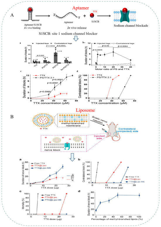 Tetrodotoxin: The State-of-the-Art Progress in Characterization ...