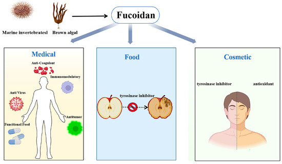 The Origin, Properties, Structure, Catalytic Mechanism, and ...