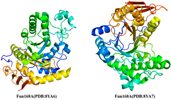 The Origin, Properties, Structure, Catalytic Mechanism, and ...