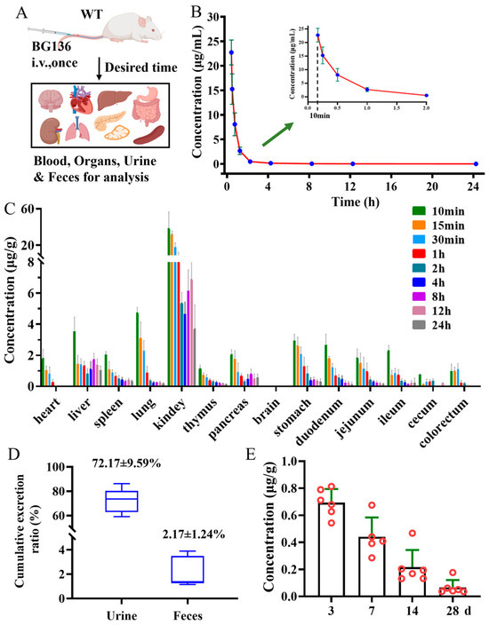 Exploring the In Vivo Fate of β-1, 3/1, 6-Glucan Using Quantitative ...
