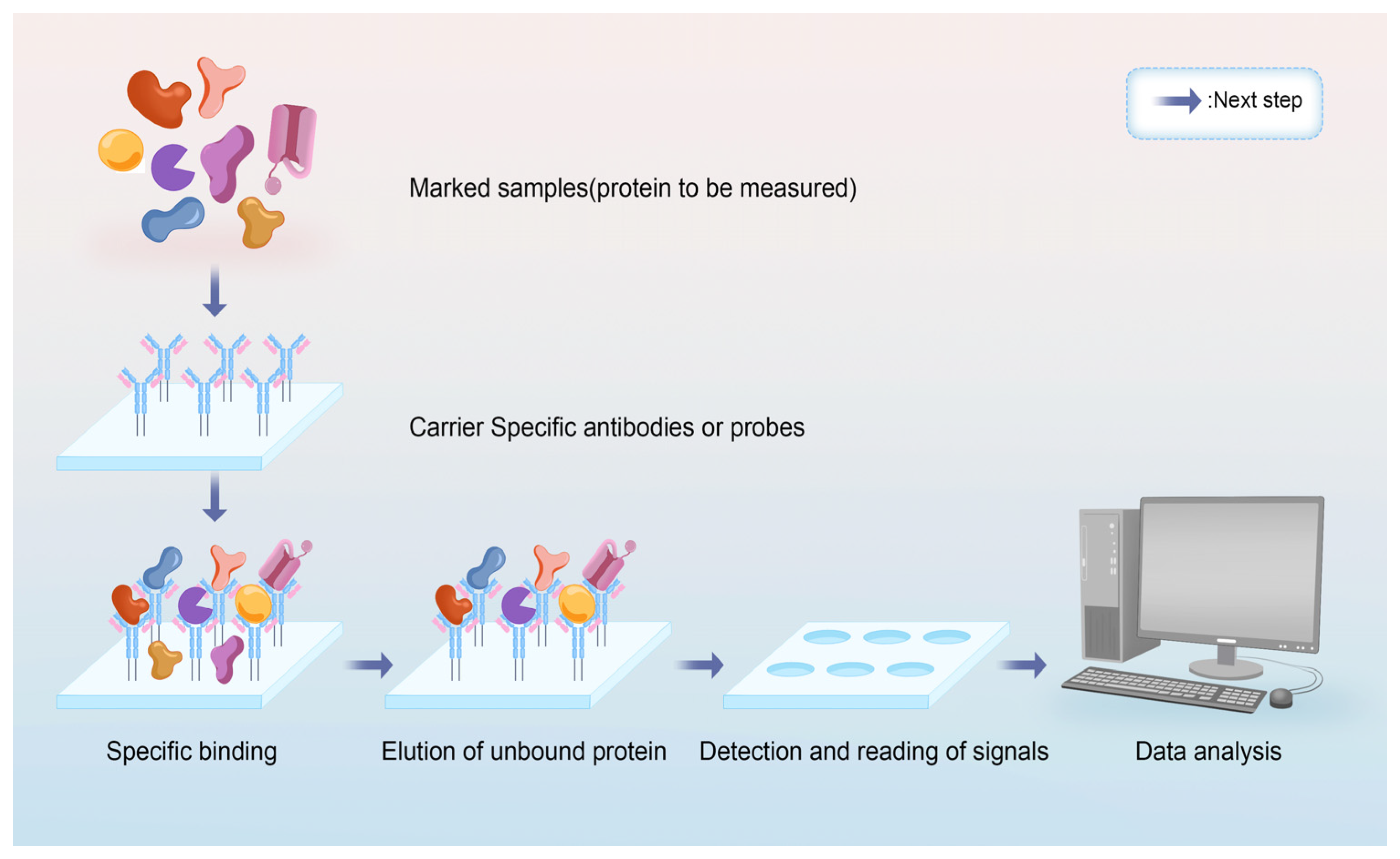 Bioactive Peptides Derived from Tuna: Screening, Extraction ...