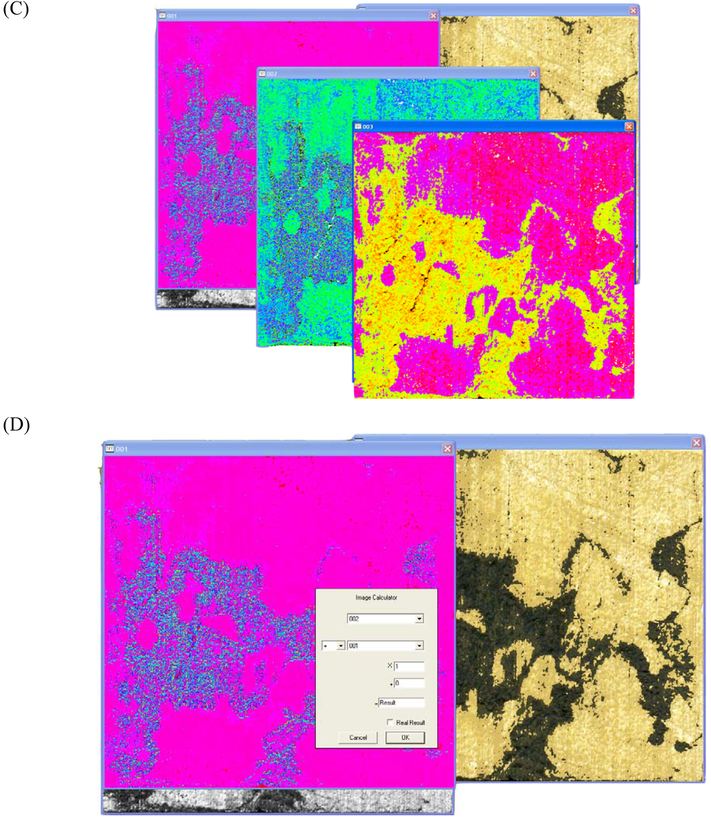 A Method for Digital Color Analysis of Spalted Wood Using Scion Image ...
