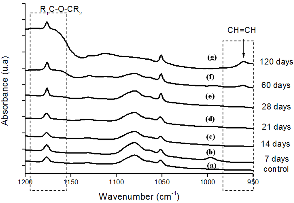 Characterization and Accelerated Ageing of UHMWPE Used in Orthopedic ...