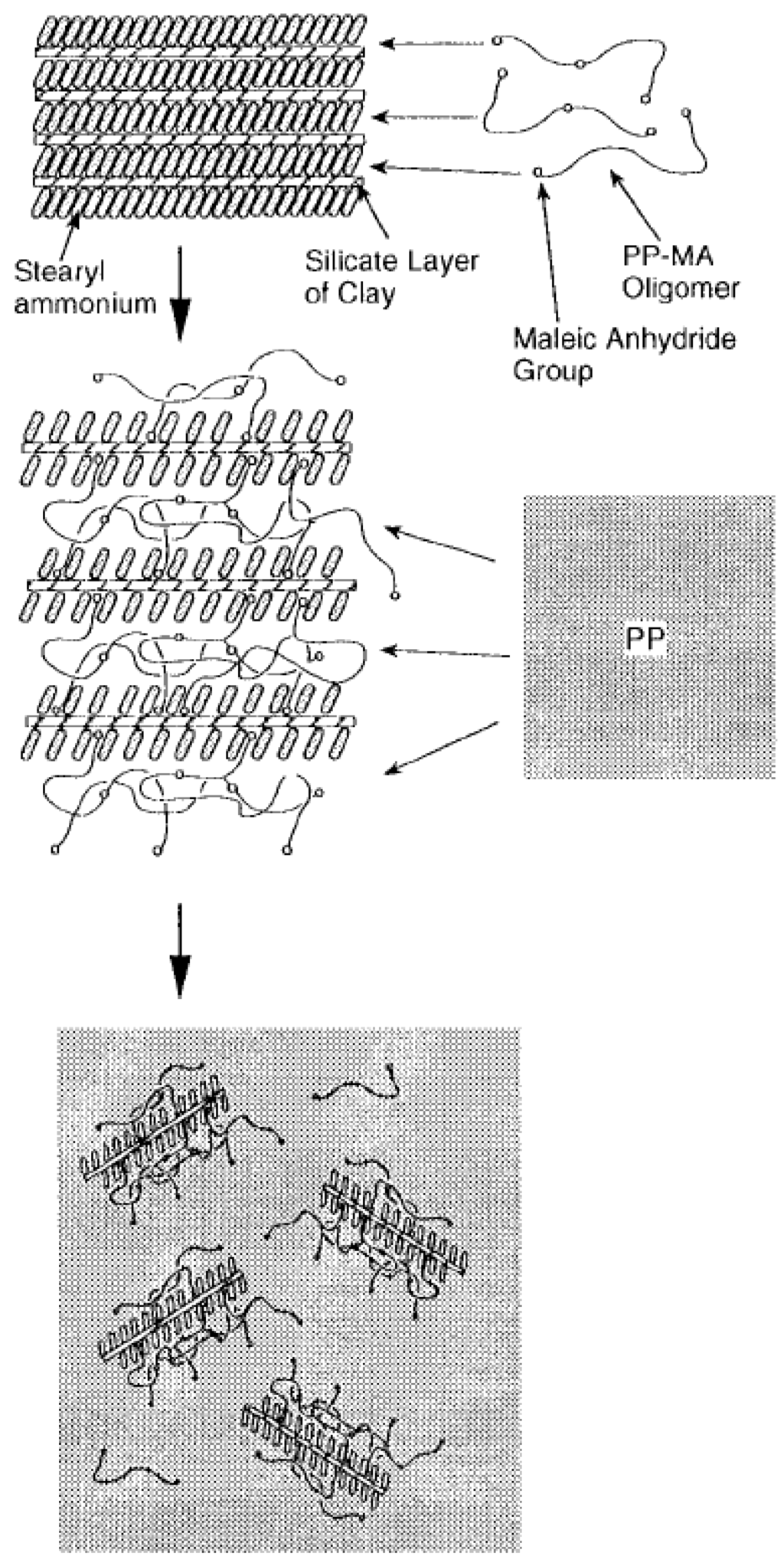 Polymer Layered Silicate Nanocomposites: A Review