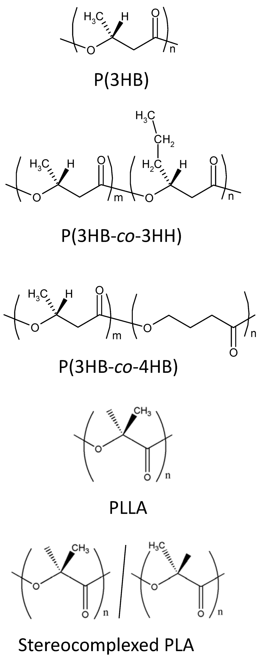 Characterization and Biocompatibility of Biopolyester Nanofibers