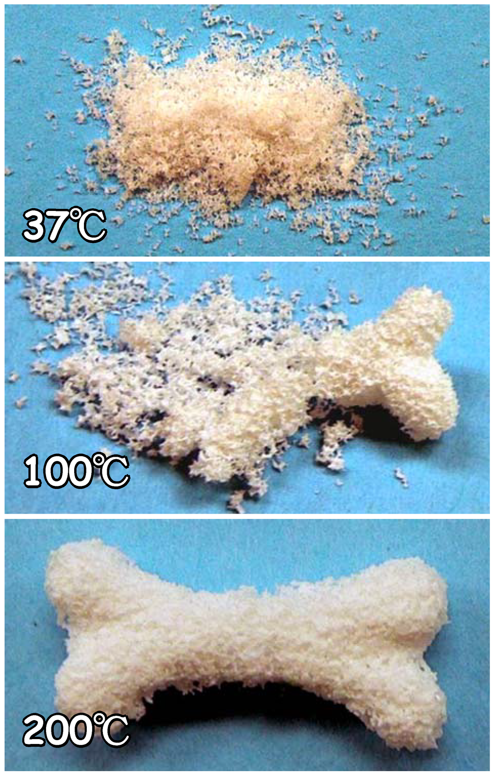 Bone Substitute Fabrication Based on Dissolution-Precipitation Reactions