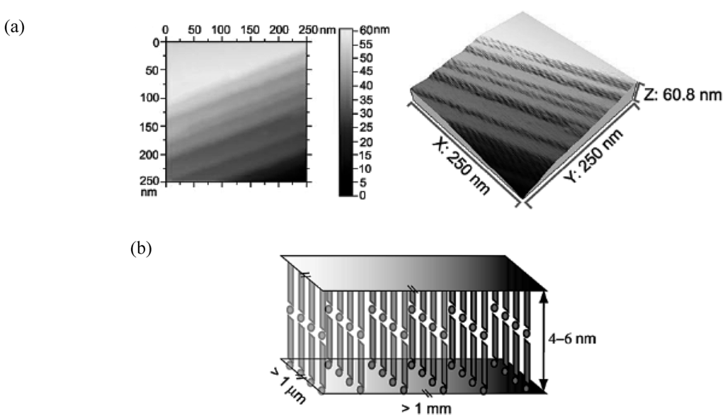 New Development in the Preparation of Micro/Nano-Wires of Molecular ...