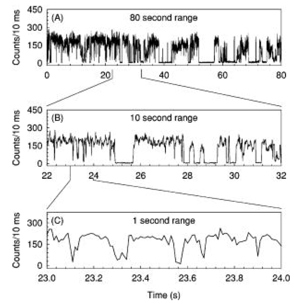 Quantum Dots and Their Multimodal Applications: A Review