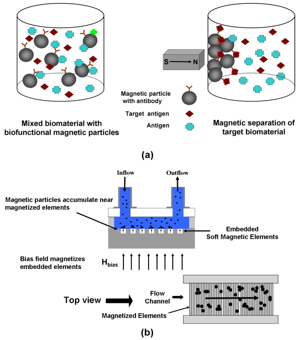 Materials | Special Issue : Magnetic Nanoparticles