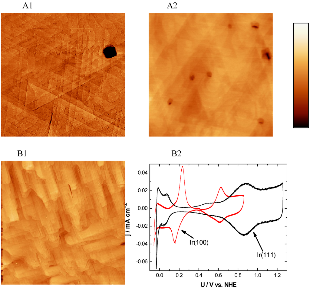 STM, SECPM, AFM and Electrochemistry on Single Crystalline Surfaces