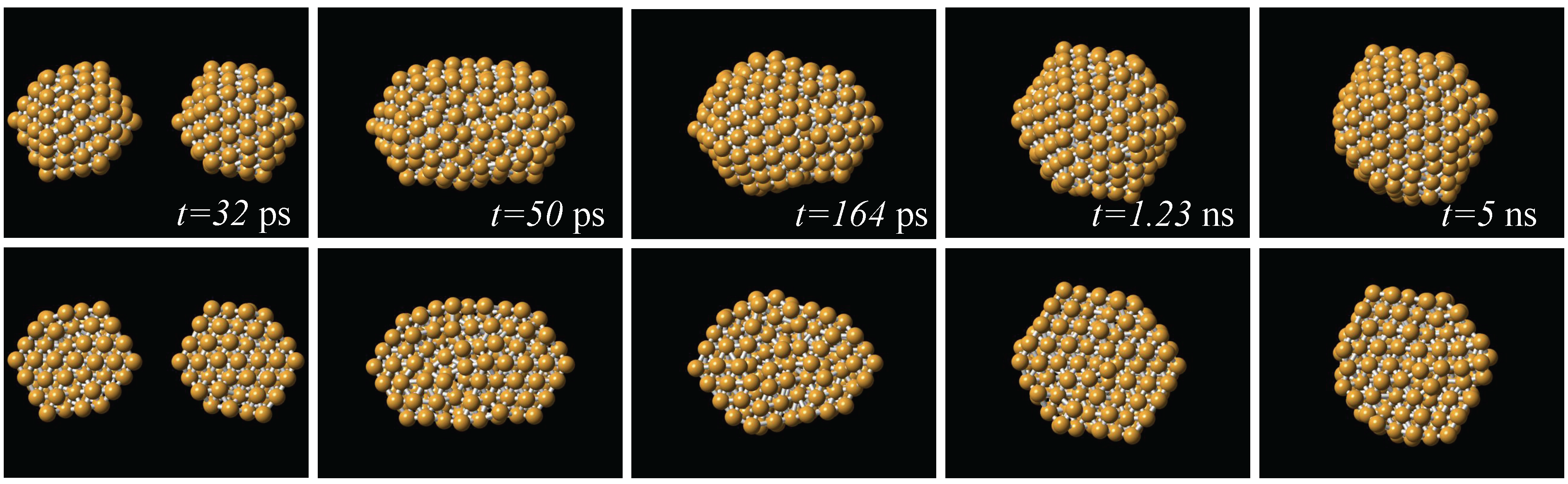 Coalescence and Collisions of Gold Nanoparticles