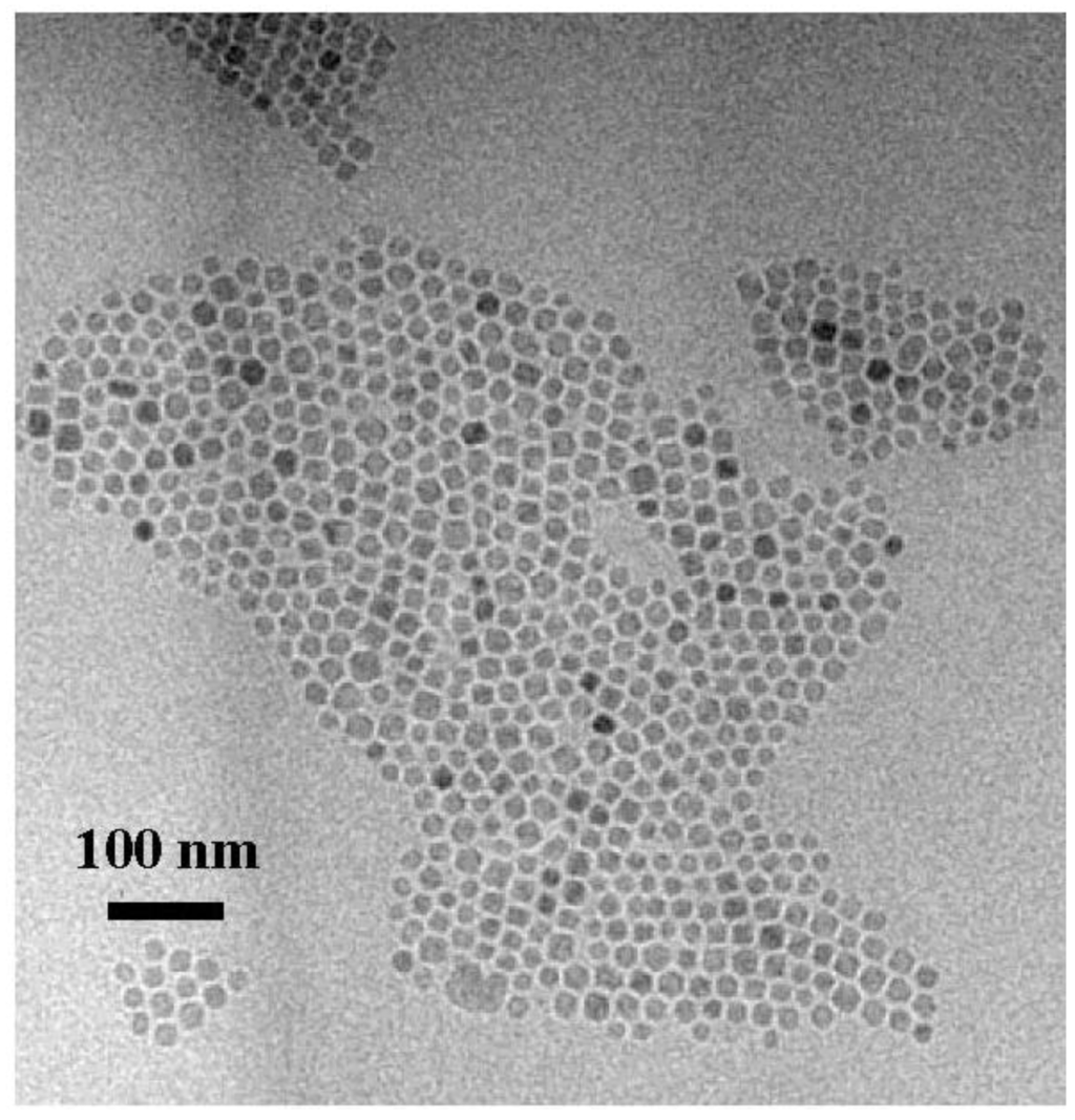 Magnetic Nanoparticles Embedded in a Silicon Matrix