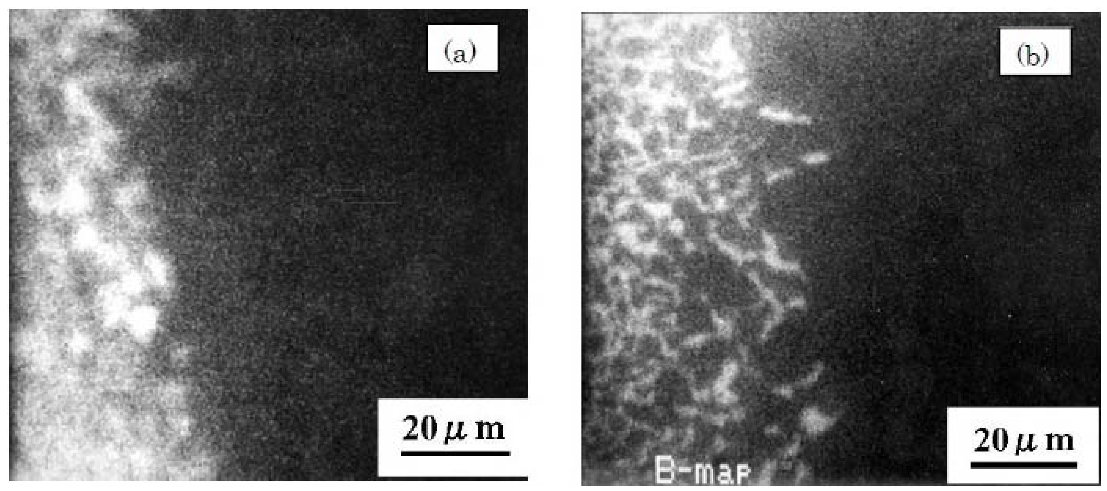 Boronization and Carburization of Superplastic Stainless Steel and ...