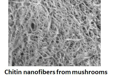 Materials | Free Full-Text | Preparation of Chitin Nanofibers from ...
