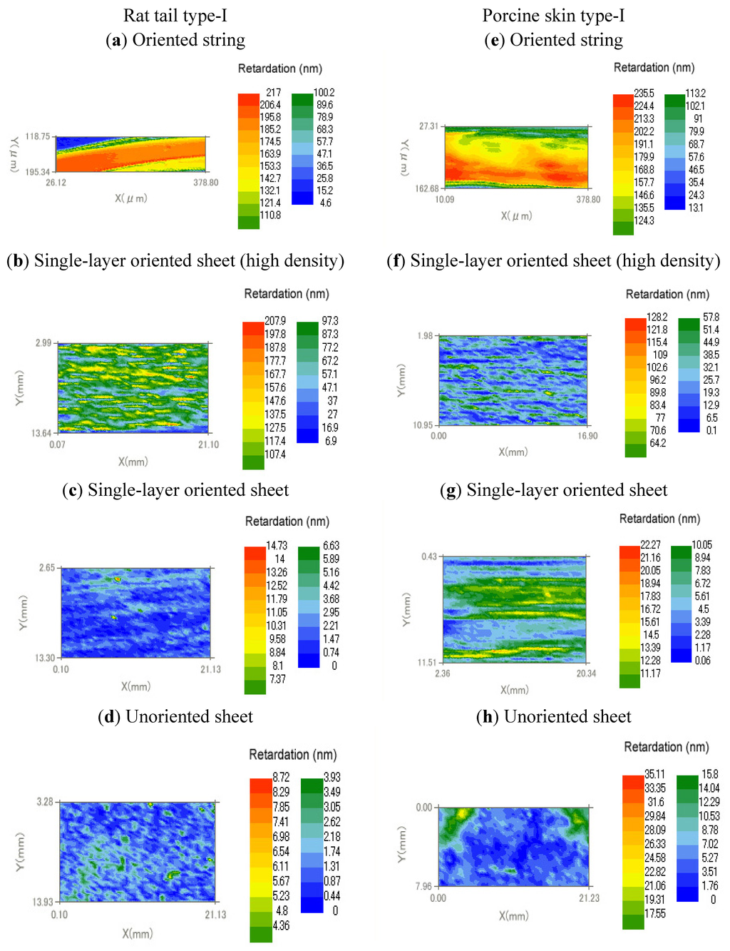 Oriented Collagen Scaffolds for Tissue Engineering
