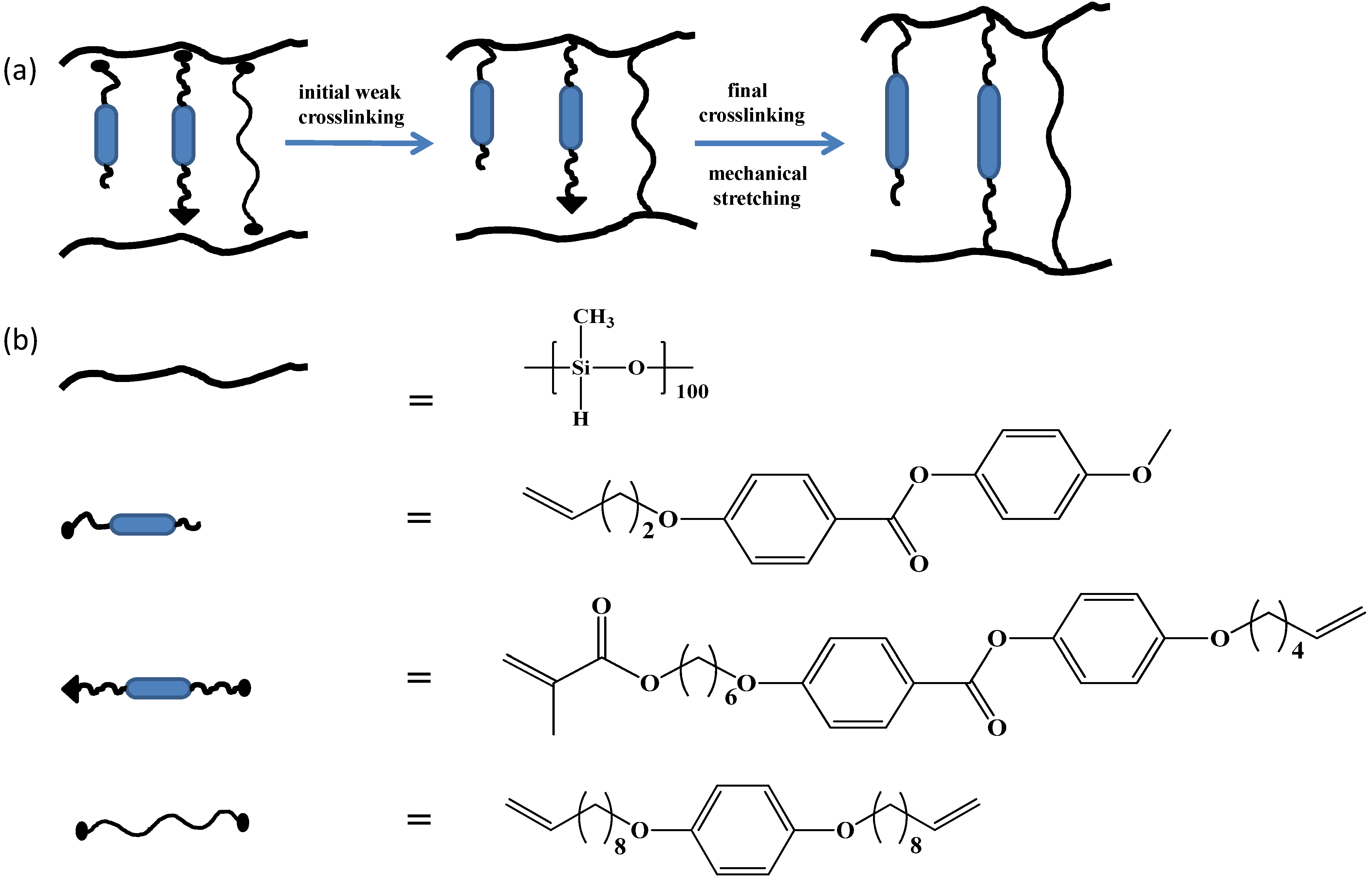 Photo-Responsive Shape-Memory and Shape-Changing Liquid-Crystal Polymer ...